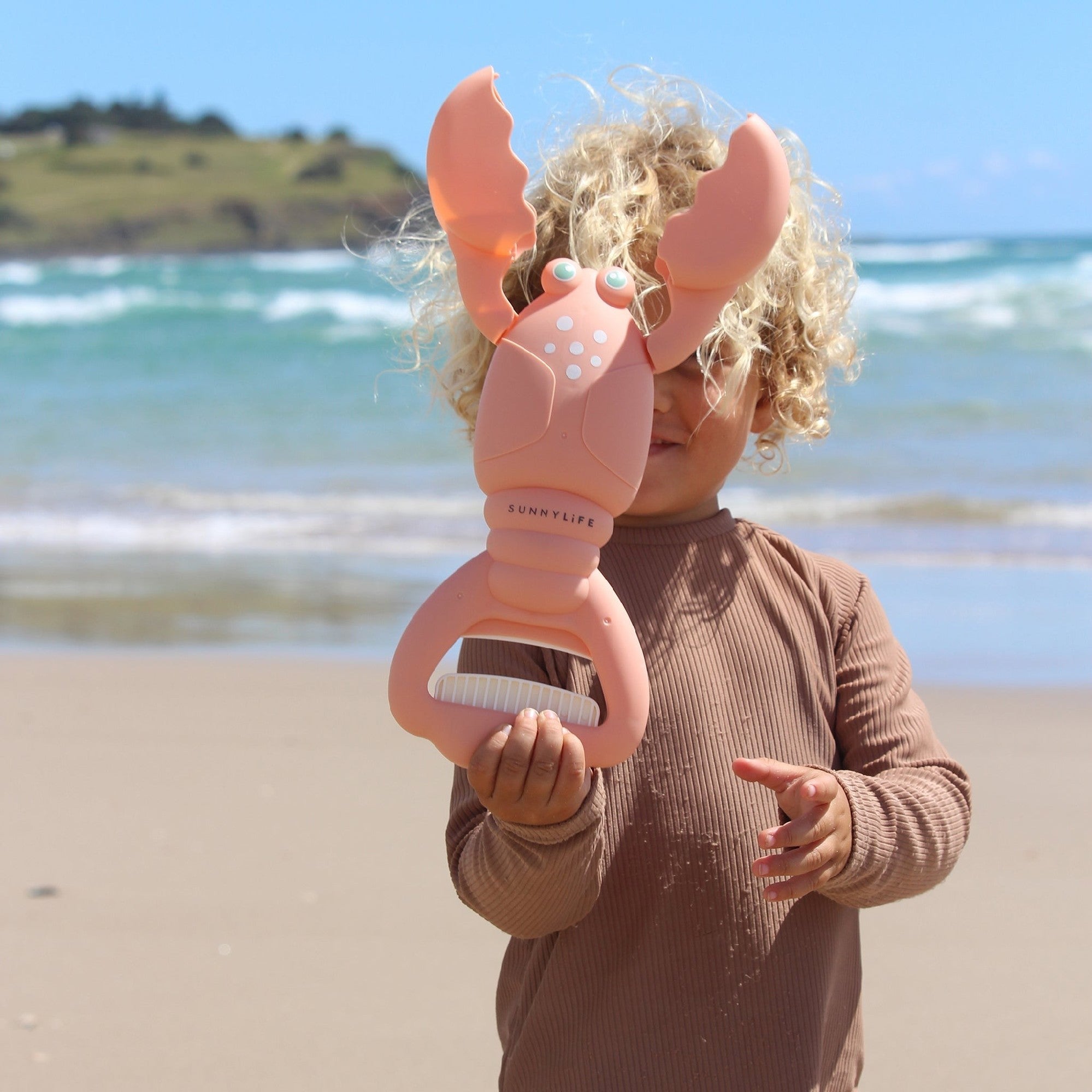 Sunnylife Sand Claws Lobster Coral – Paperplay Inverloch